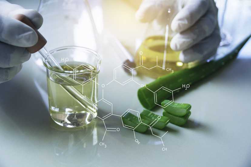 Curing Agents & Hardeners | By Chemistry | ABG AM